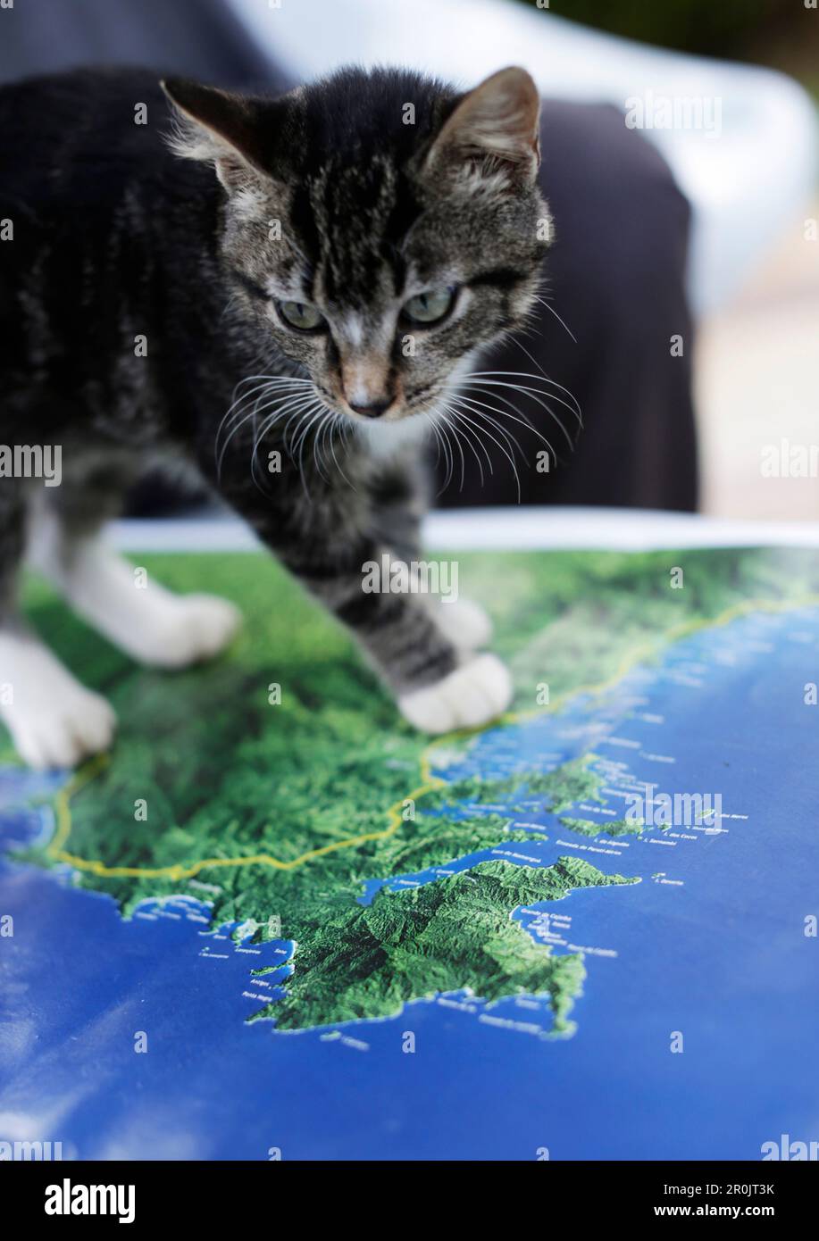 Serra do mar Banque de photographies et d’images à haute résolution - Alamy