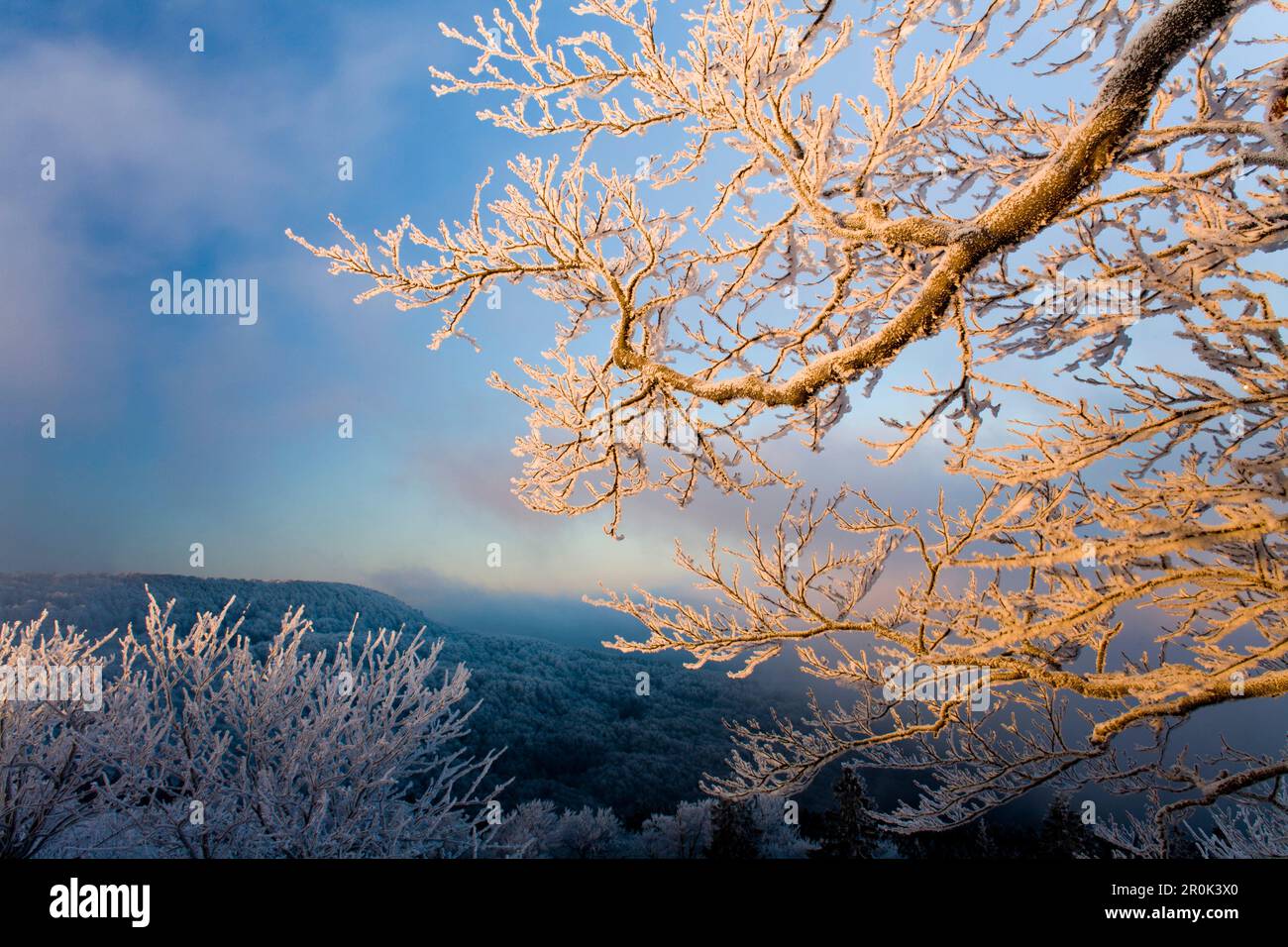 Naturpark meissner kaufunger wald Banque de photographies et d’images à ...