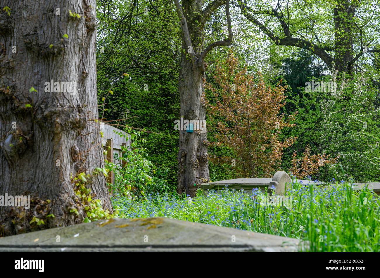 Nicher la boîte dans un cimetière entouré de vieilles tombes et de ...
