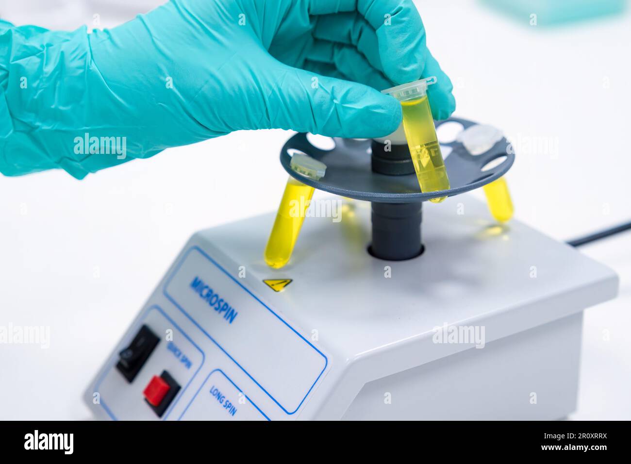 Le scientifique met un tube à essai en micro-centrifugation pour l ...