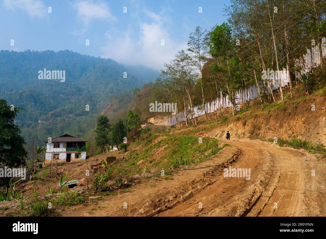 Barsey rhododendron sanctuary Banque de photographies et d’images à ...
