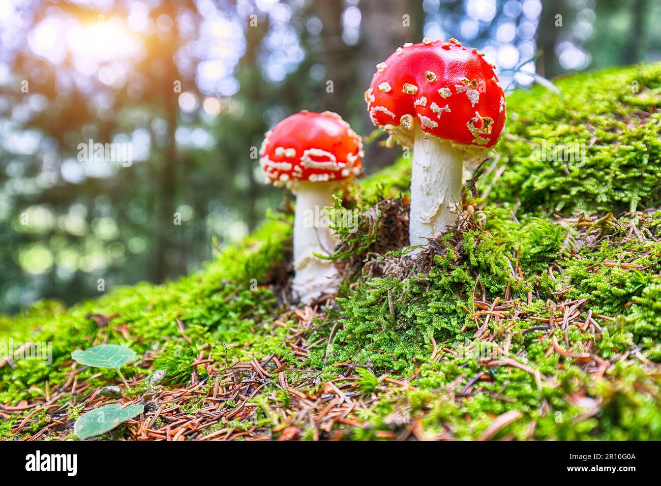 Cap in val di funes Banque de photographies et d’images à haute ...