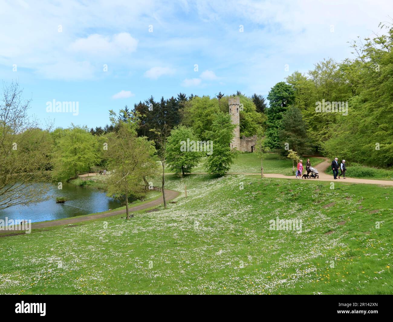 Parc de hardwick hall Banque de photographies et d’images à haute résolution - Alamy
