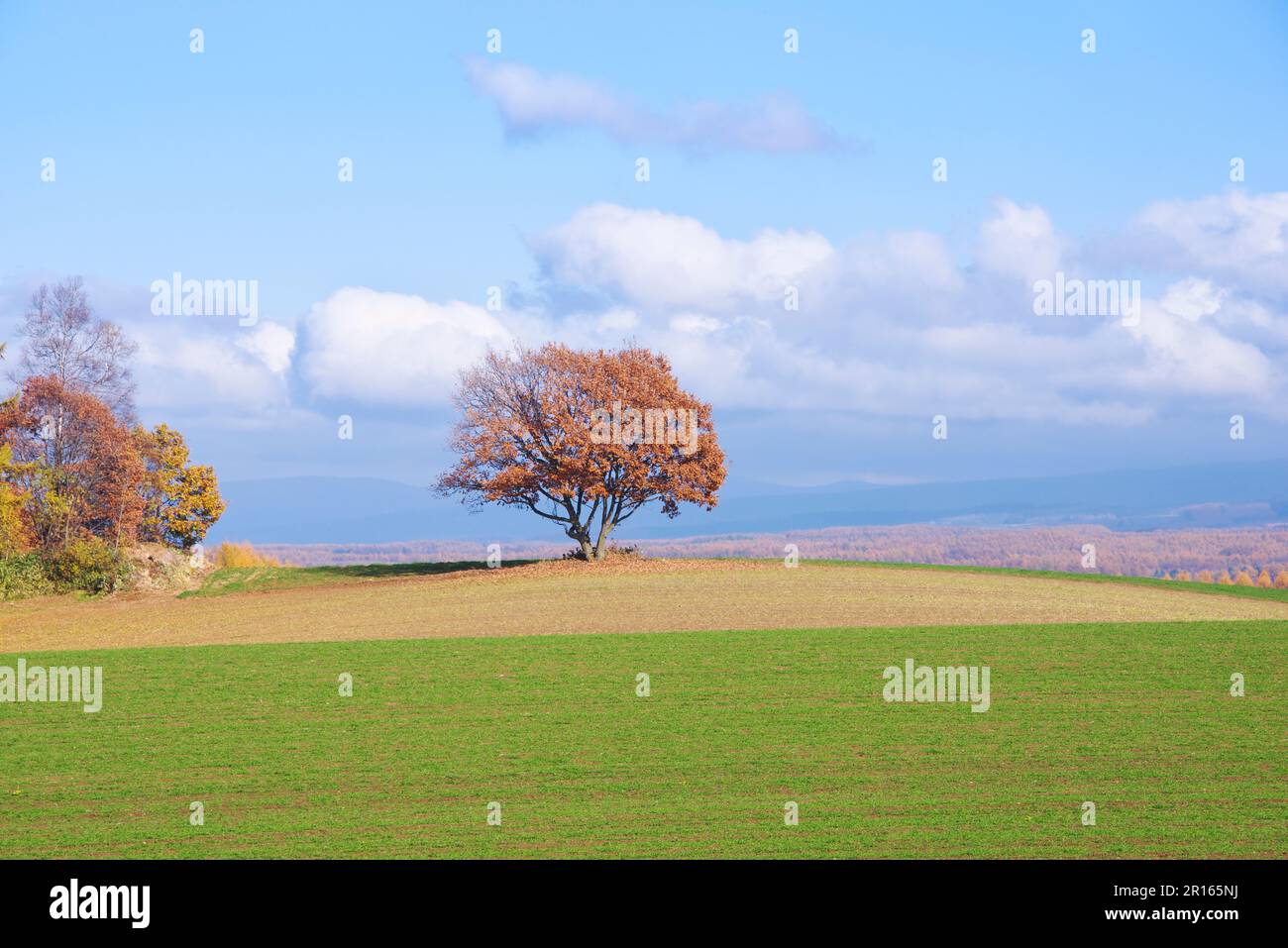 Colline d'automne Banque de photographies et d’images à haute ...