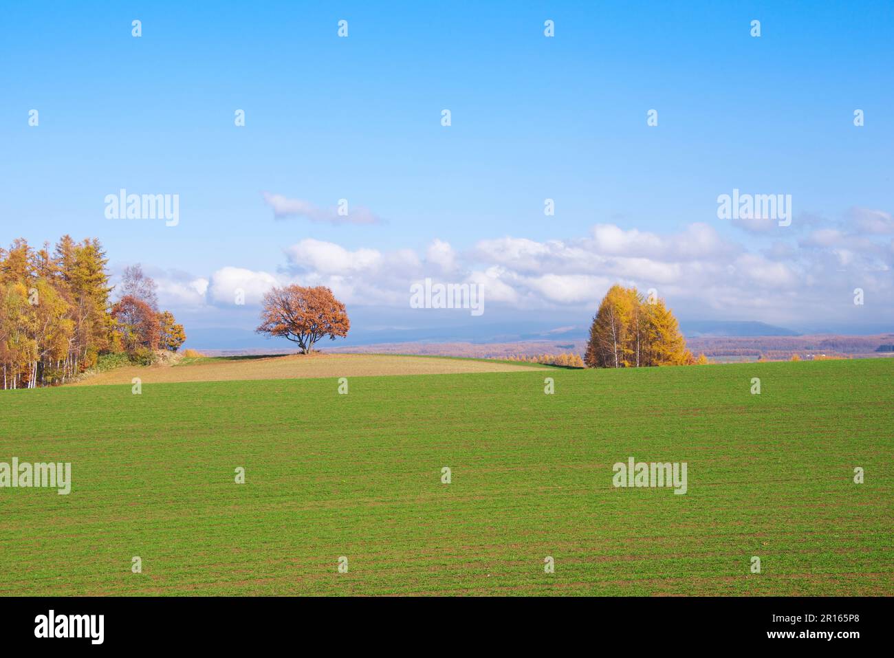 Colline d'automne Banque de photographies et d’images à haute ...