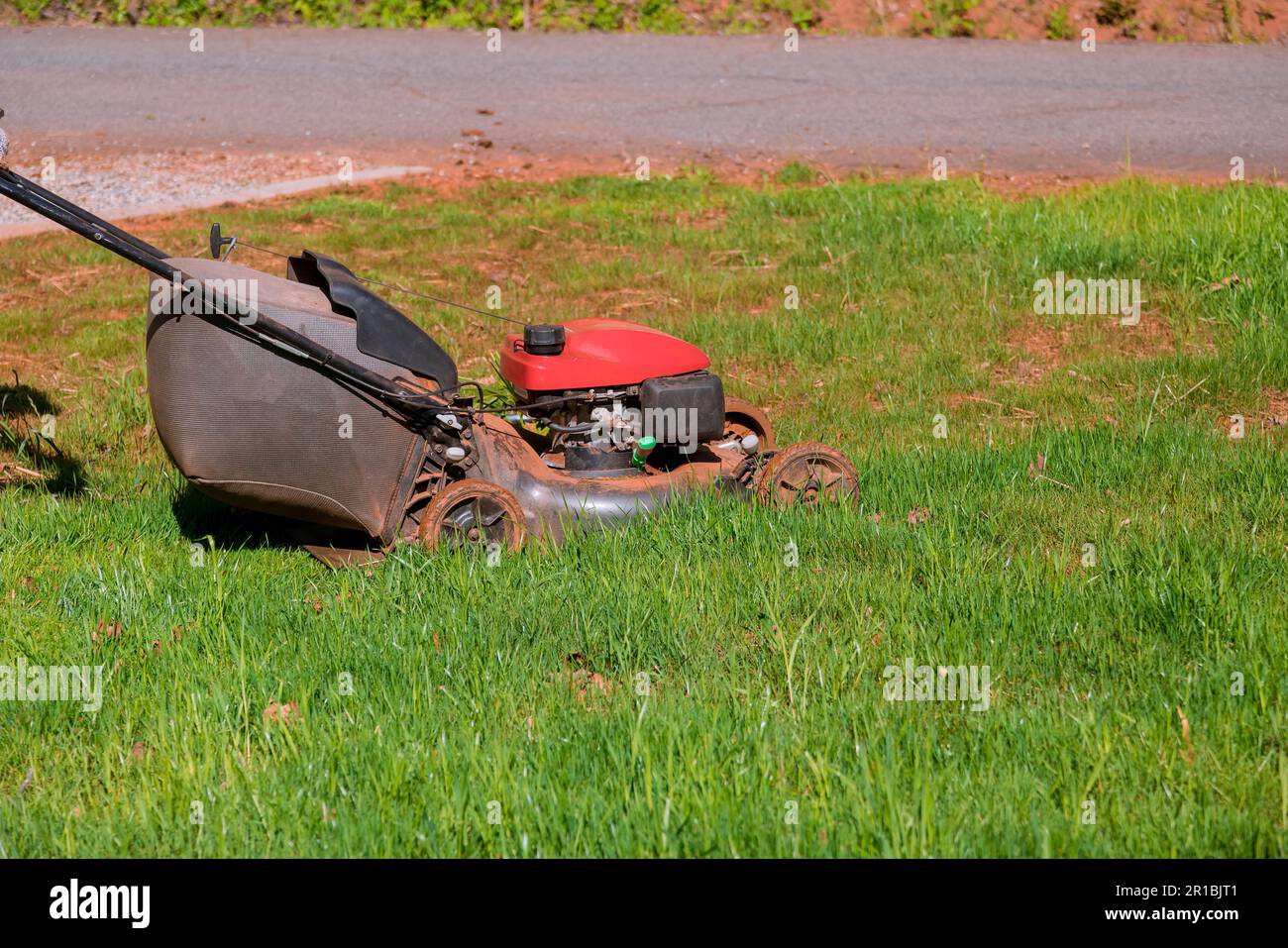 Une femme tond une pelouse verte dans son arrière-cour avec une tondeuse à gazon devant sa ...