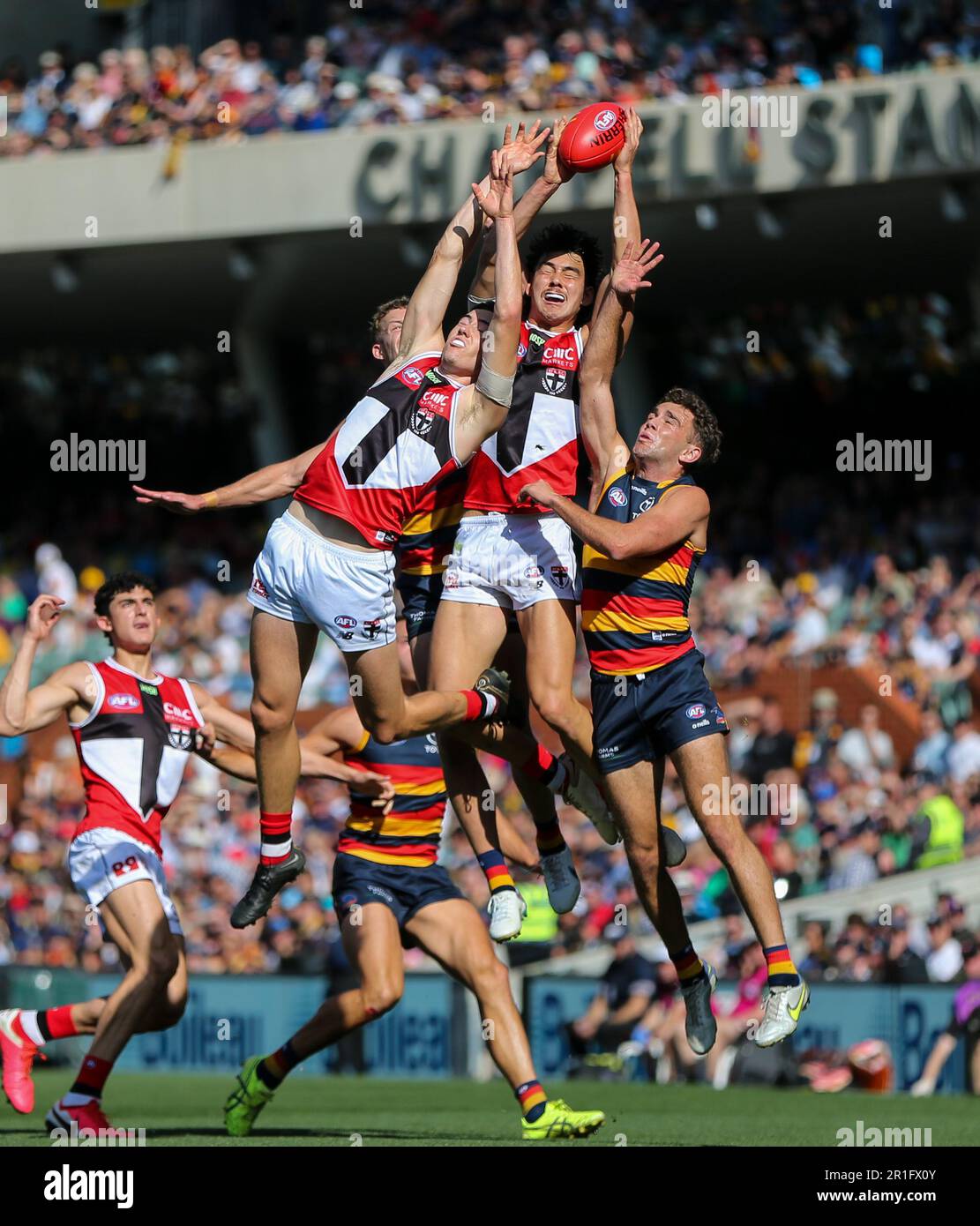 Mitch Owens of the Saints tente de marquer Mitch Hinge et Lachlan Sholl ...