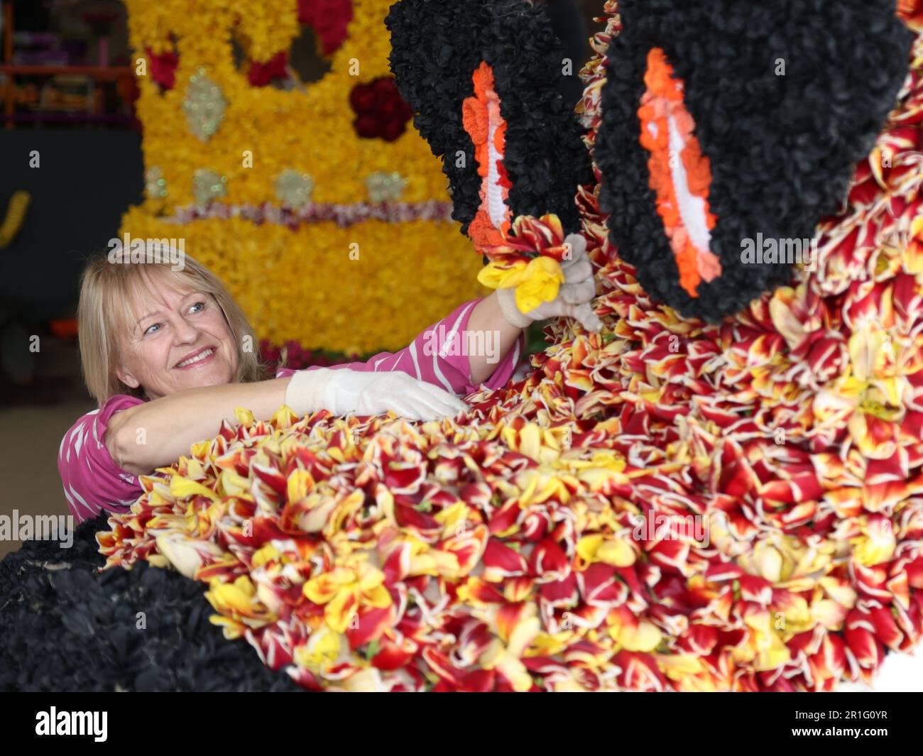 Spalding, Royaume-Uni. 11th mai 2023. Gaynor Lilley a commencé à ...