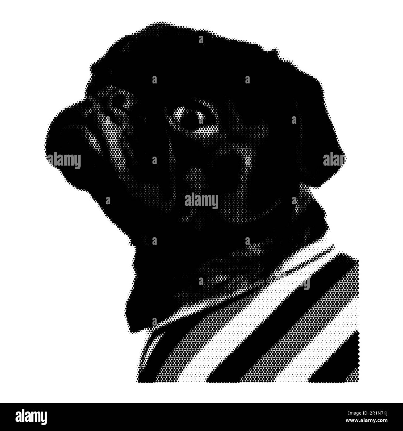 Punk dog Banque d'images noir et blanc - Alamy