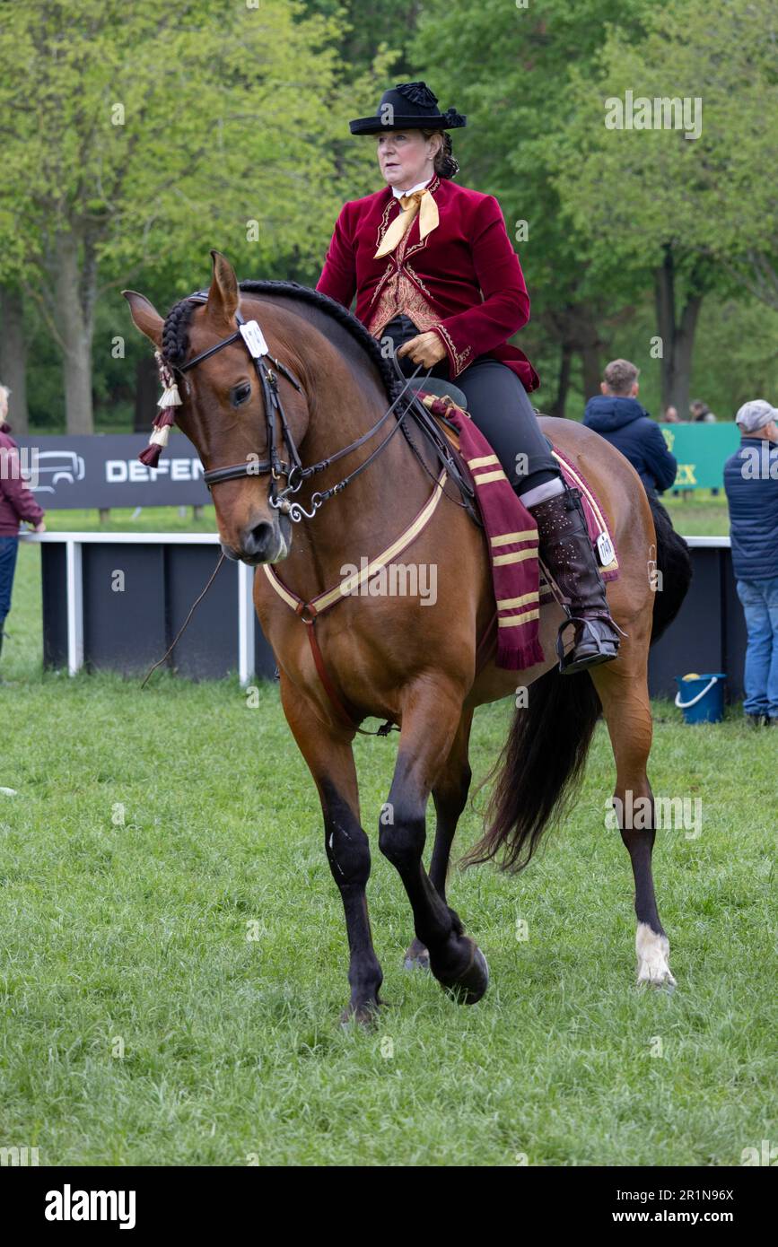 Spectacle équestre royal de windsor 2023 Banque de photographies et d ...