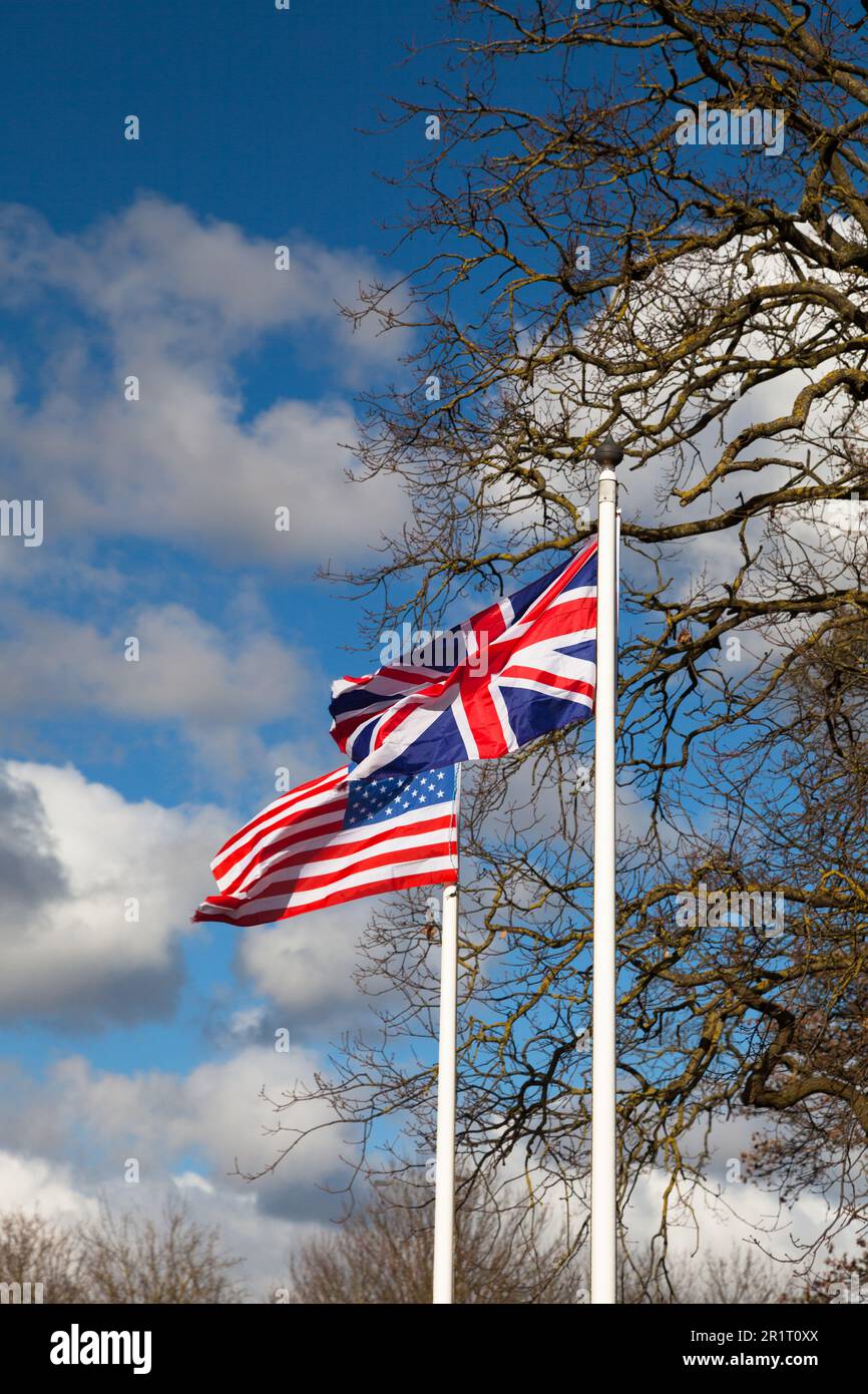 Arbre du monde des drapeaux Banque de photographies et d’images à haute ...