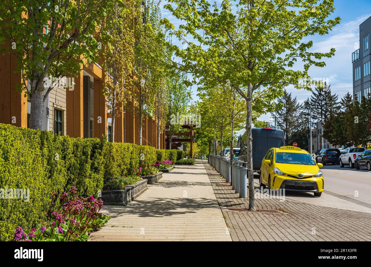 Magnifique parc par temps ensoleillé. Rue verte de la ville avec ...
