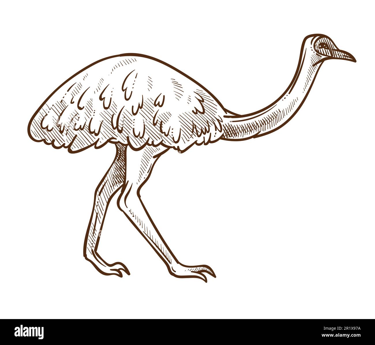 Ferme australienne Banque d'images vectorielles - Alamy