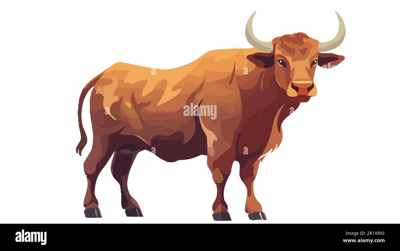 Taureau de dessin animé. Illustration vectorielle isolée sur fond blanc Image Vectorielle Stock ...