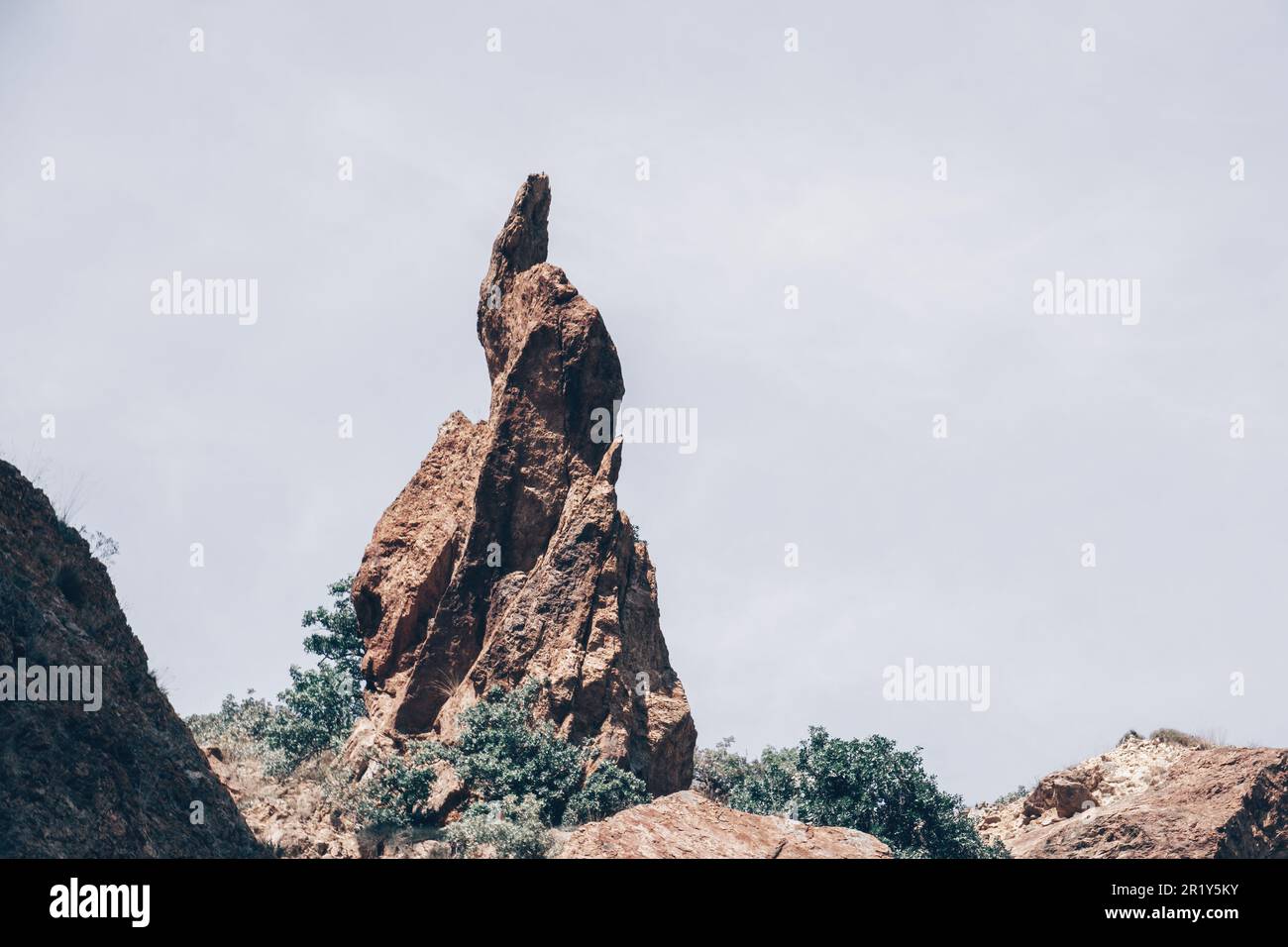 Au nez pointu Banque de photographies et d’images à haute résolution ...