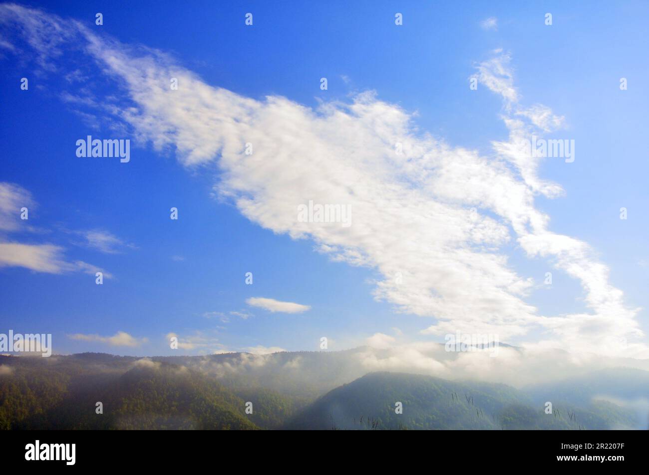 Les trois photos sont prises sur le bord de mer et j'ai essayé de ...