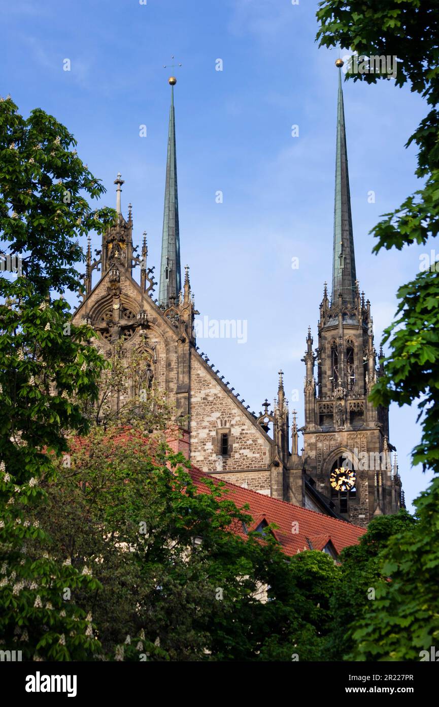Cathédrale Saint-Pierre-et-Paul de Brno, vue sur les dômes par temps ...