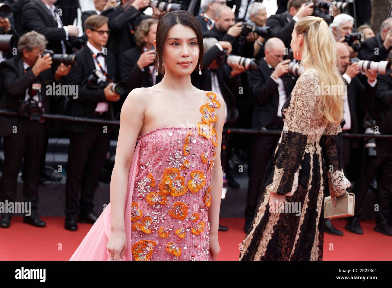 Dan tong han Banque de photographies et d’images à haute résolution - Alamy