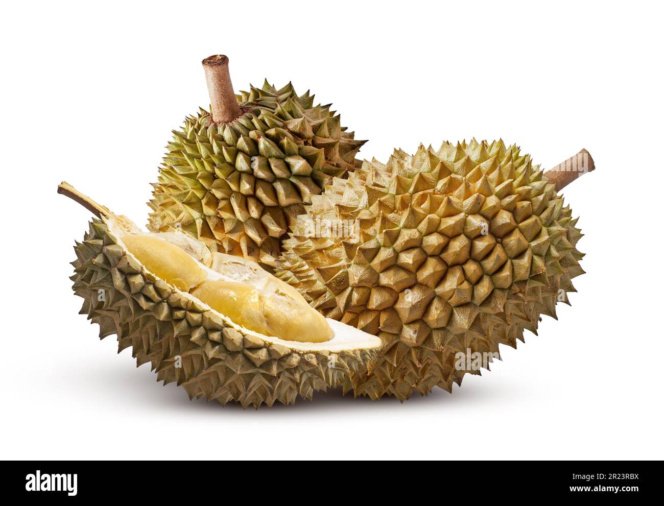 White flesh of durian Banque de photographies et d’images à haute ...