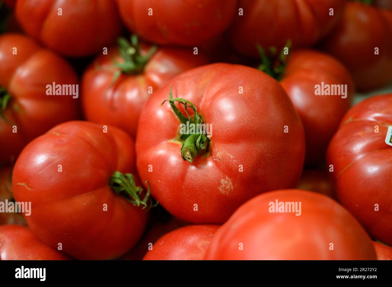 Assortiment de tomates à salade française, nouvelle récolte de grosses ...