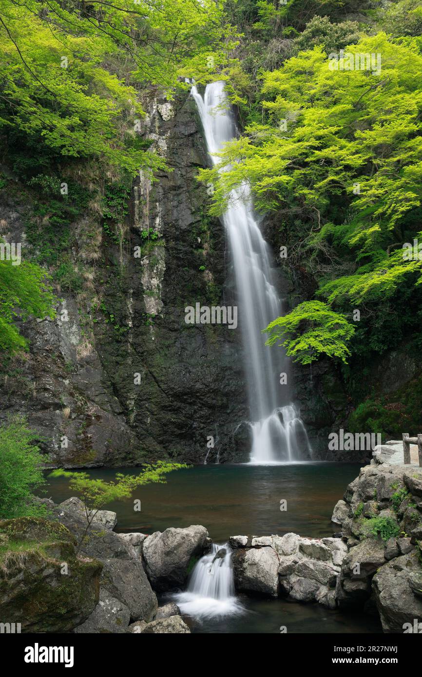 Meiji no mori minoh quasi national park Banque de photographies et d ...