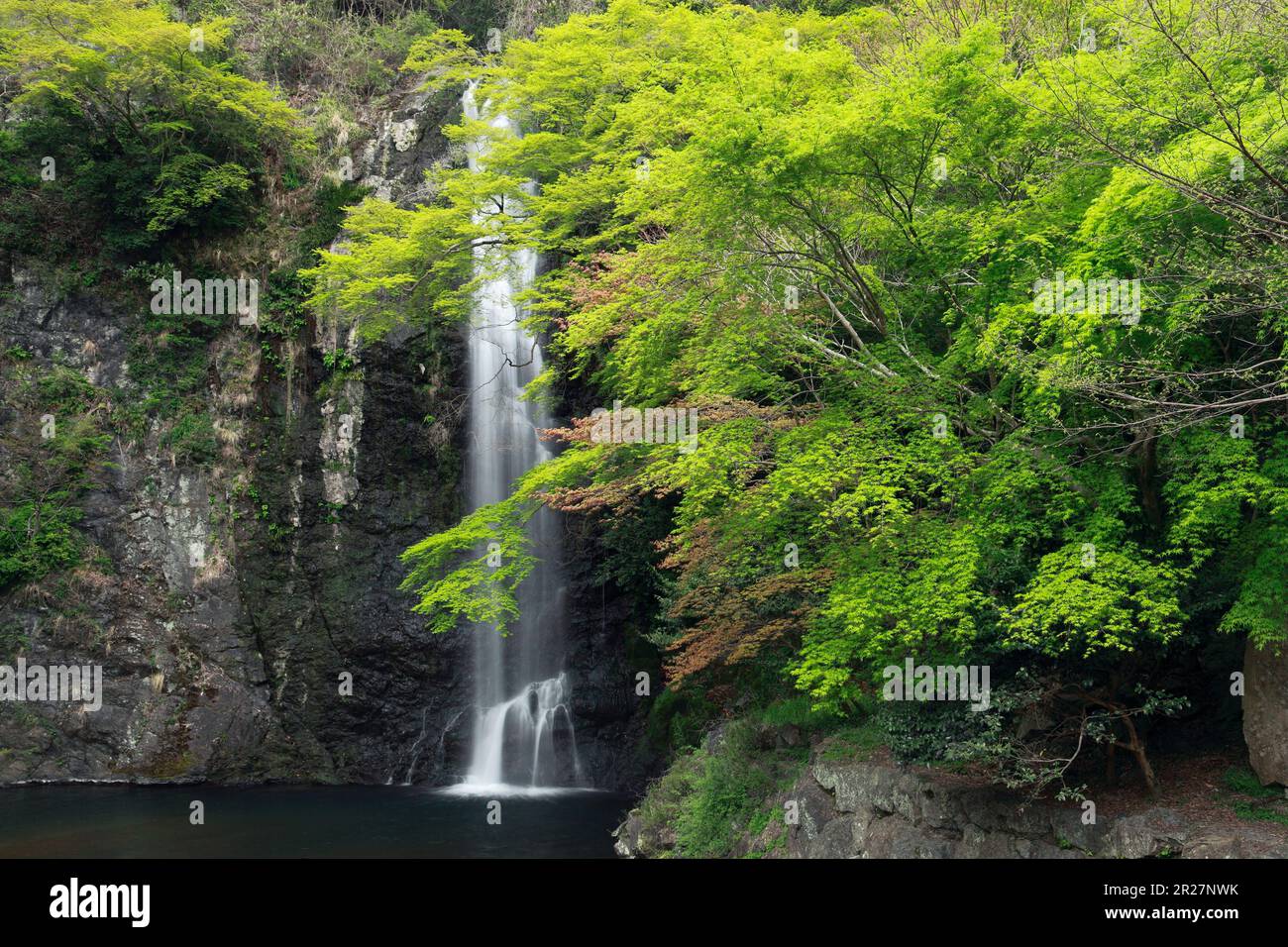 Meiji no mori minoh quasi national park Banque de photographies et d ...
