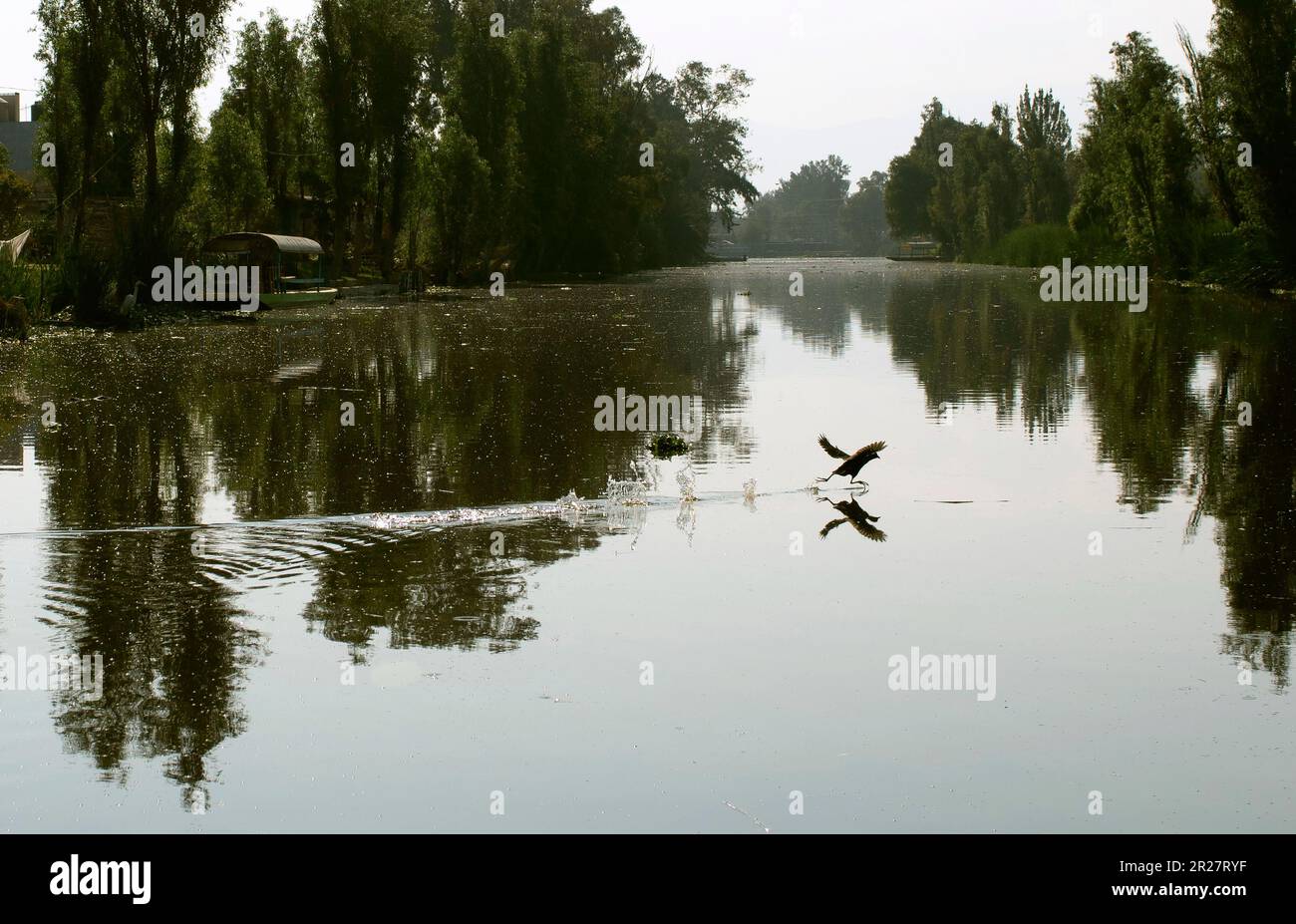 17 mai 2023, Mexico, Mexico, Mexique : le lac des rois aztèques, vieux ...