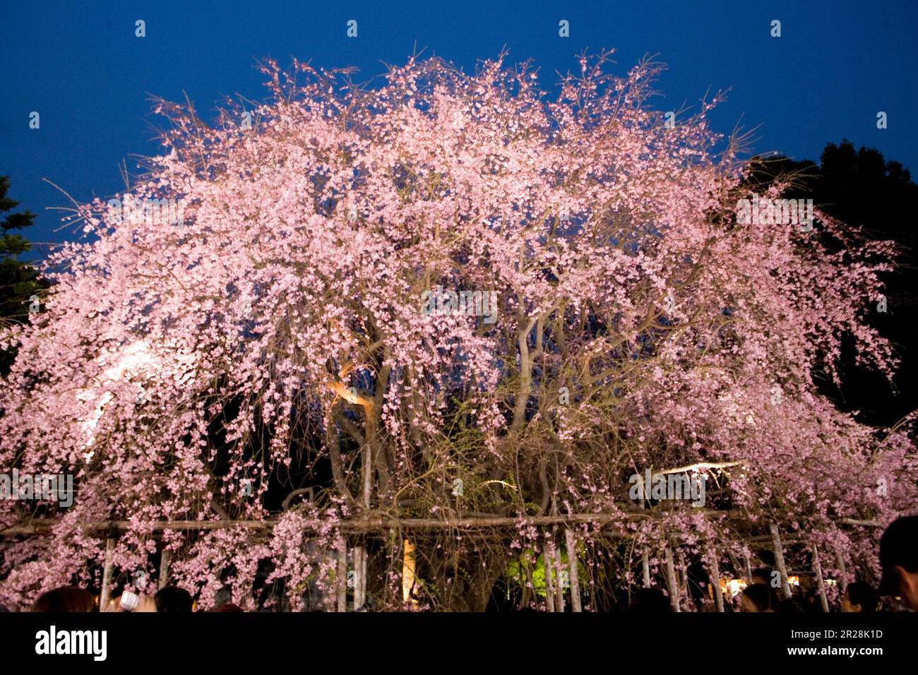 Rikugien gardens Banque de photographies et d’images à haute résolution ...