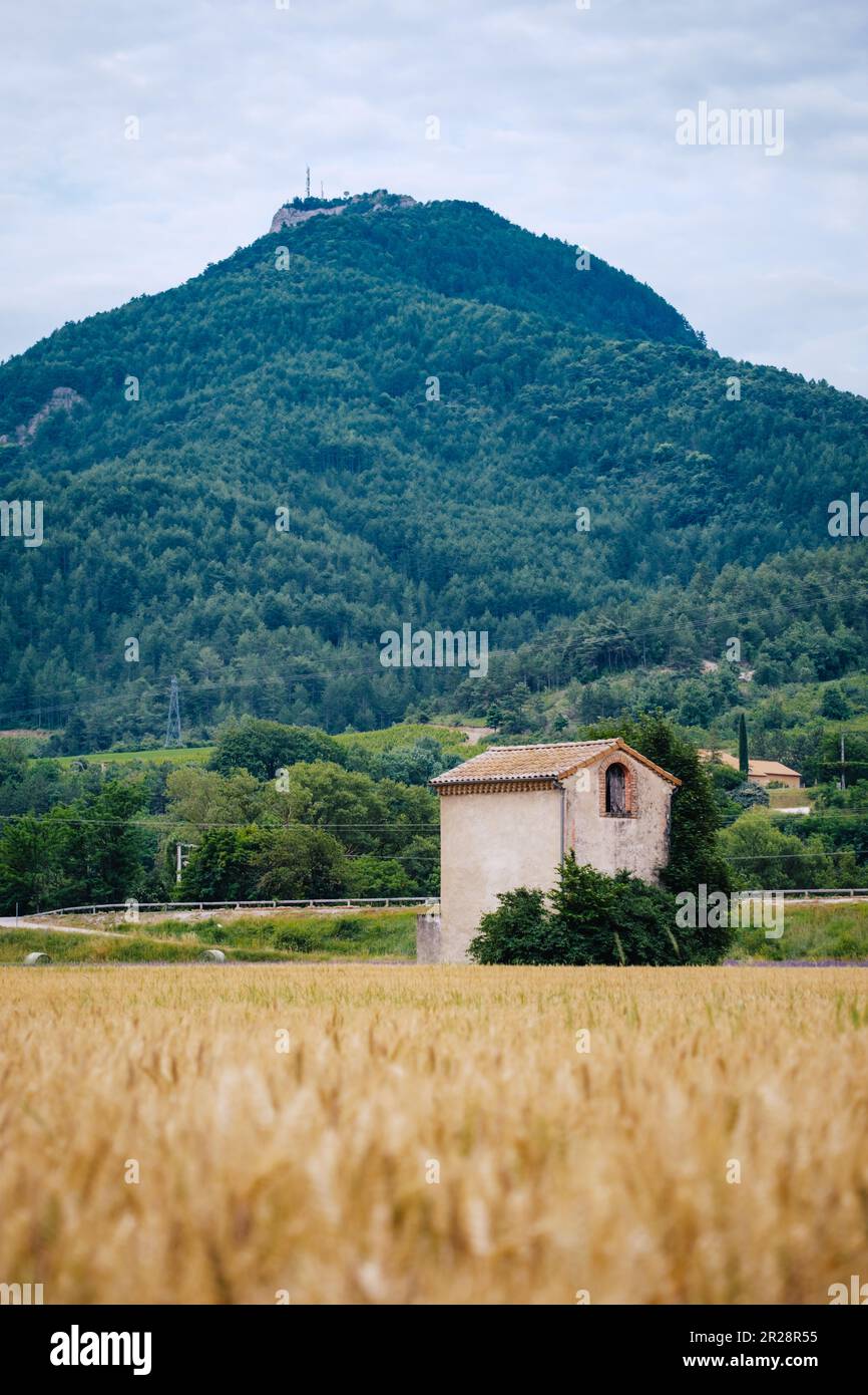 Champ de blé, petite hutte et thhe moutains en arrière-plan près de la ...