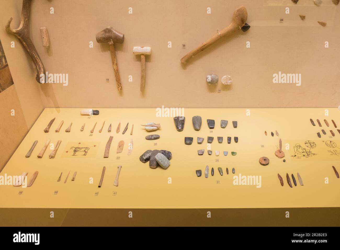 Outils en pierre à ébrécher pour la période néolithique.Musée ...
