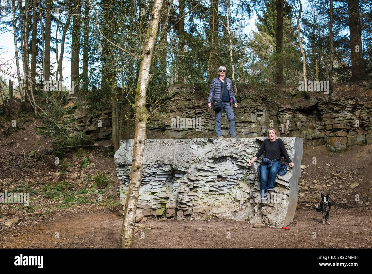Annie Cattrell 'Echo' répond à l'histoire géologique de la forêt ...