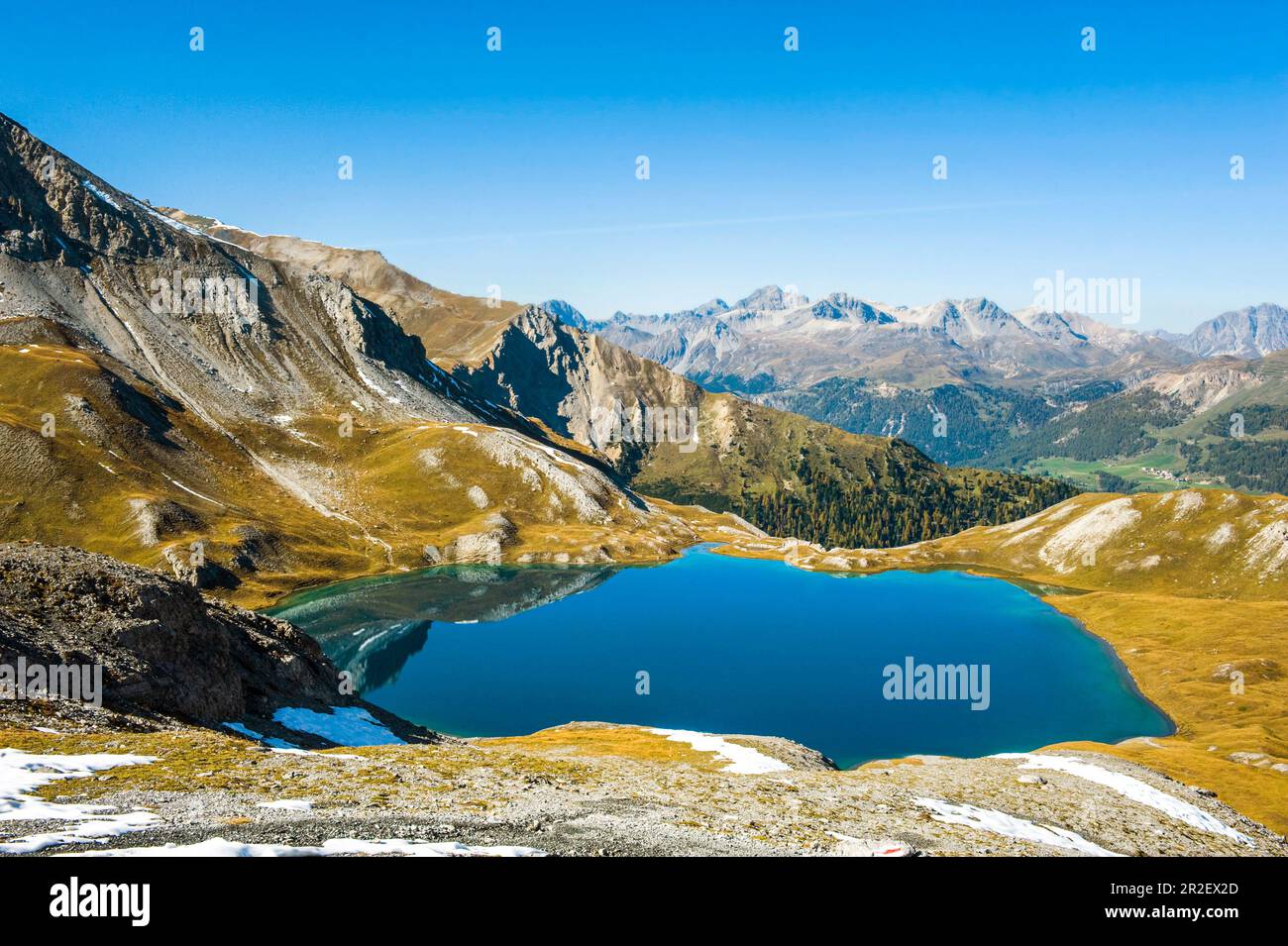 Lai da rims Banque de photographies et d’images à haute résolution - Alamy