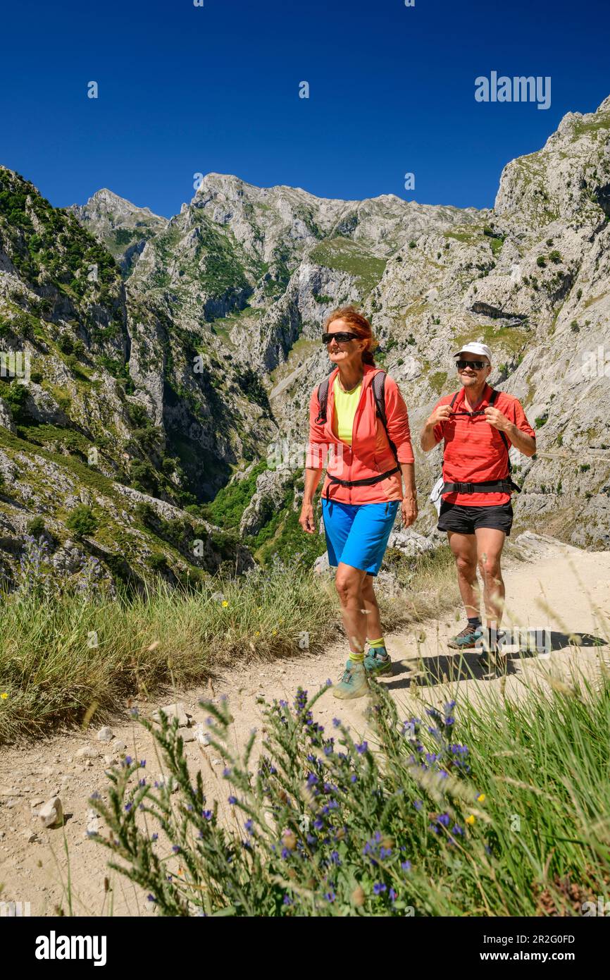 Homme et femme randonnée dans la gorge de Ruta del Cares, Cares gorge ...