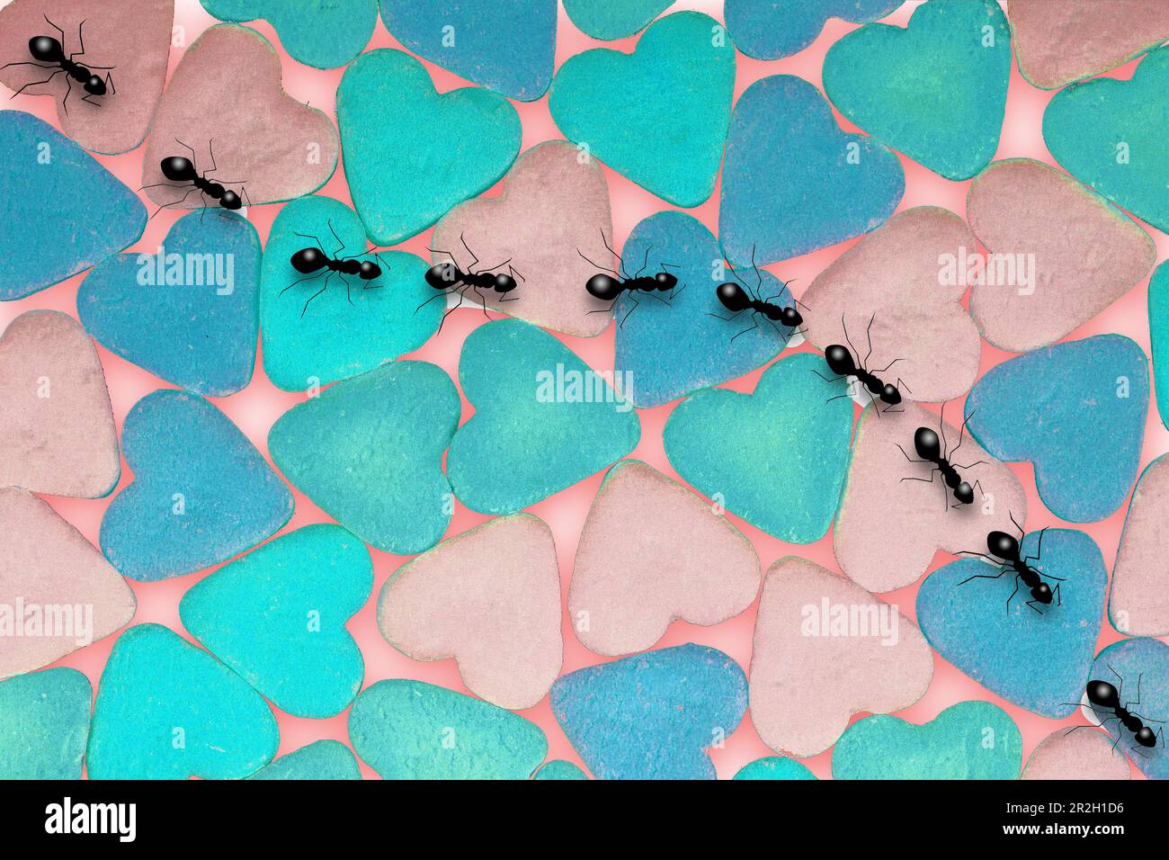 Fourmis mangeant des miettes Banque de photographies et d’images à ...