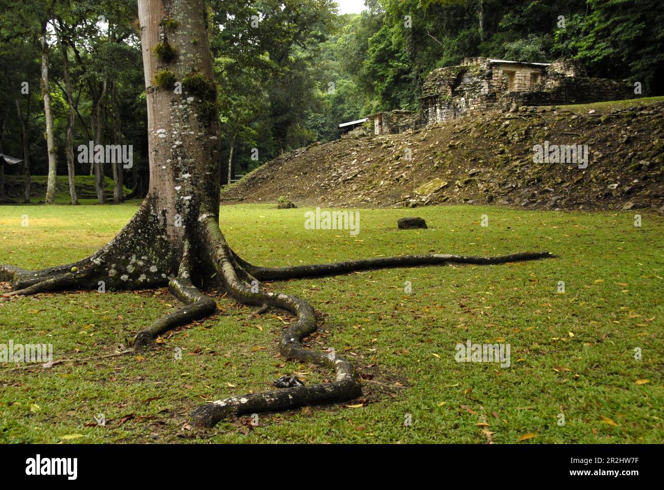 Yaxchilan mexico Banque de photographies et d’images à haute résolution ...