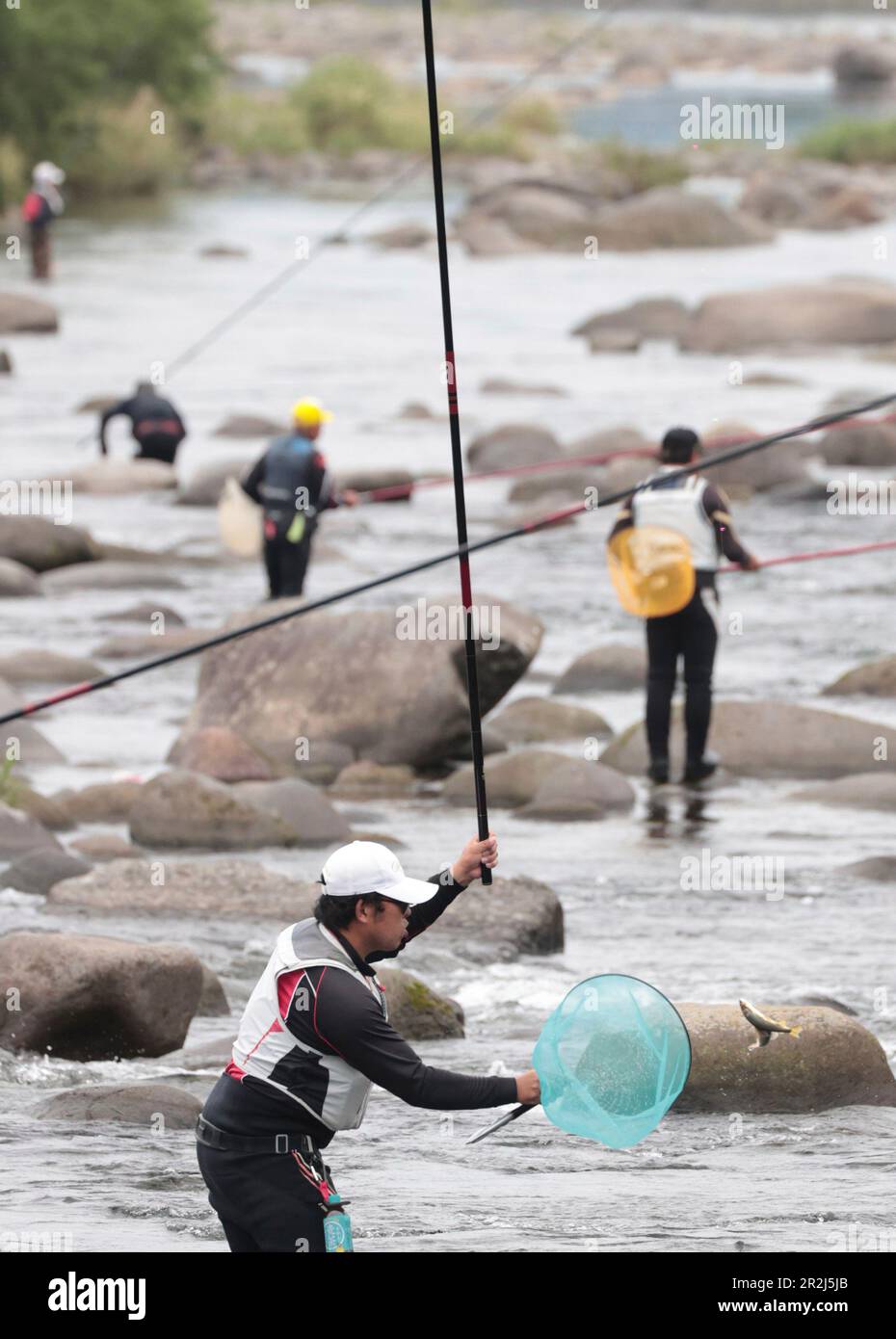 People enjoy fishing sweetfish on Oyama river in Hita ity, Oita ...