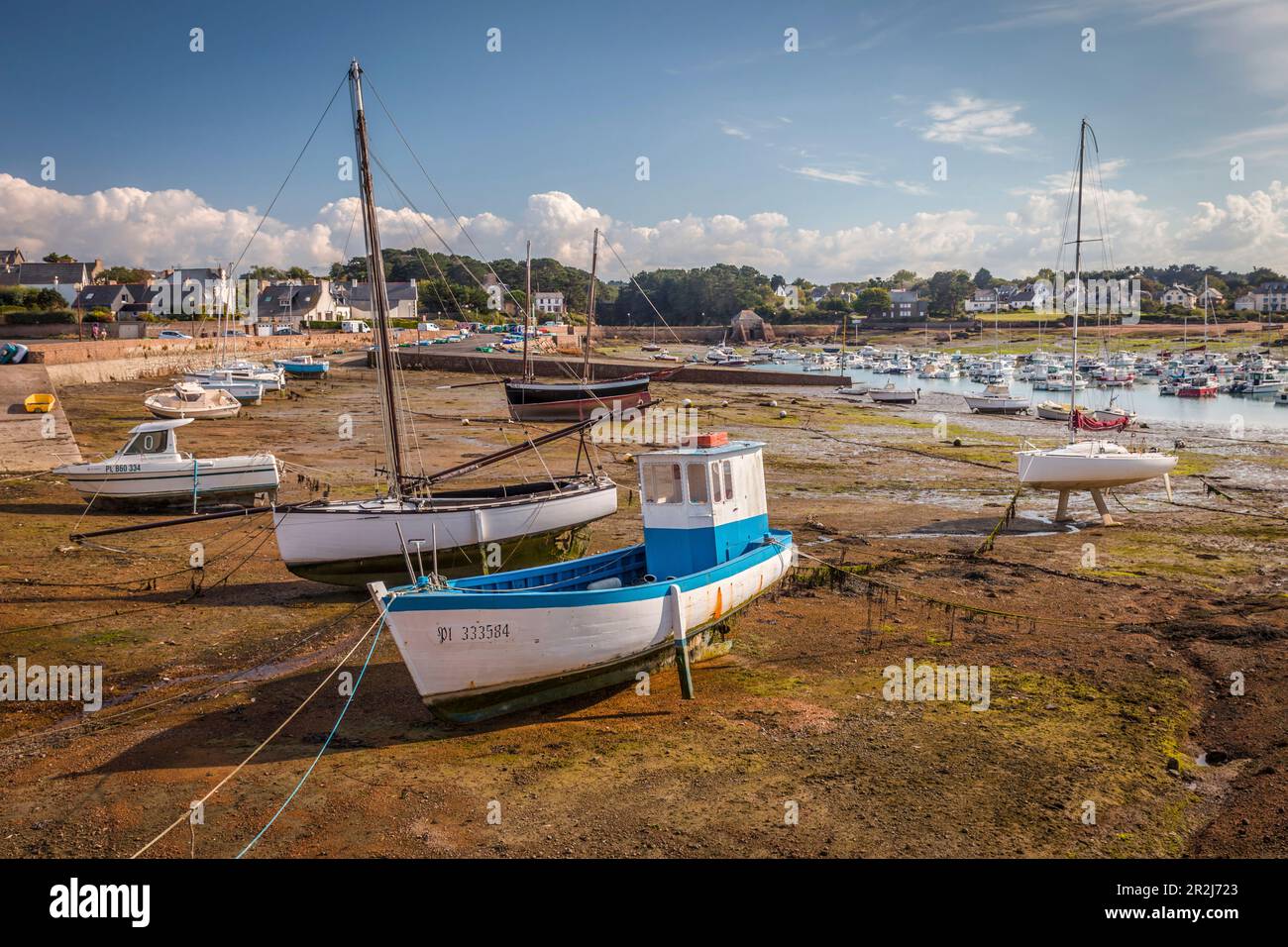 Marée basse dans le port de Saint-Guirec, Côte de granit Rose, Côtes-d ...