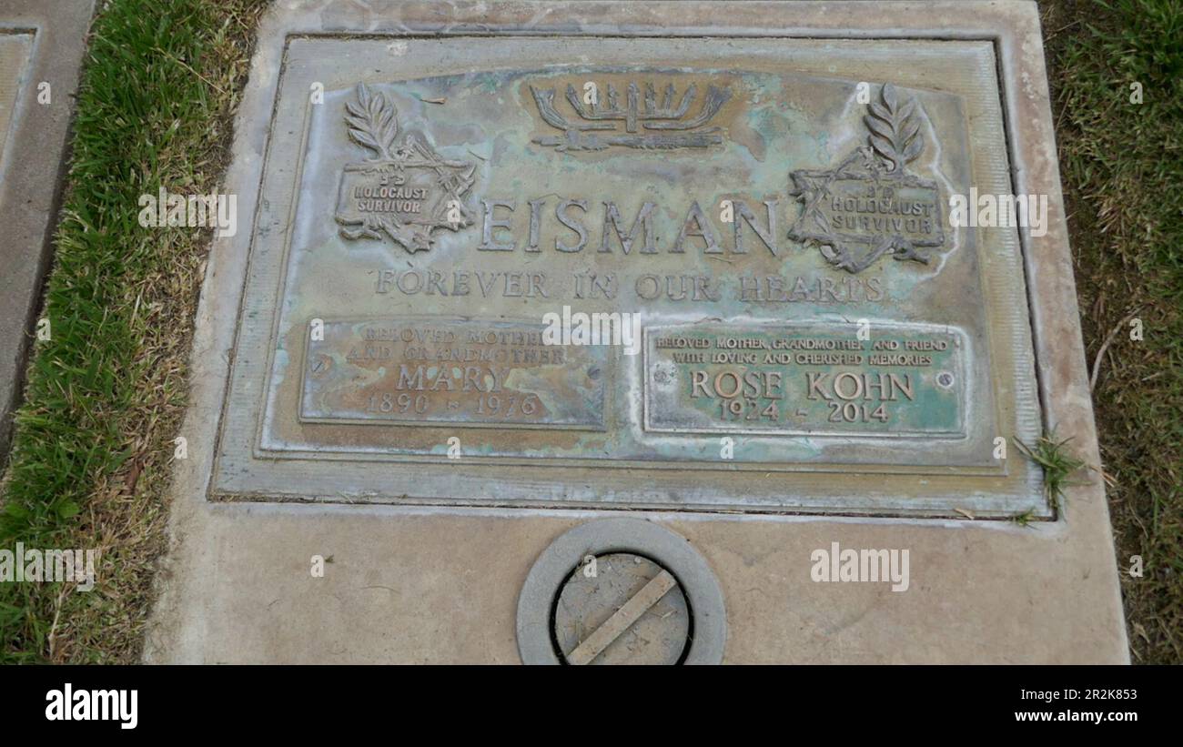 Rose kohn Banque de photographies et d’images à haute résolution - Alamy