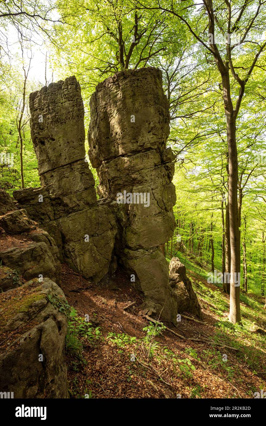 Adam en eva Banque de photographies et d’images à haute résolution ...