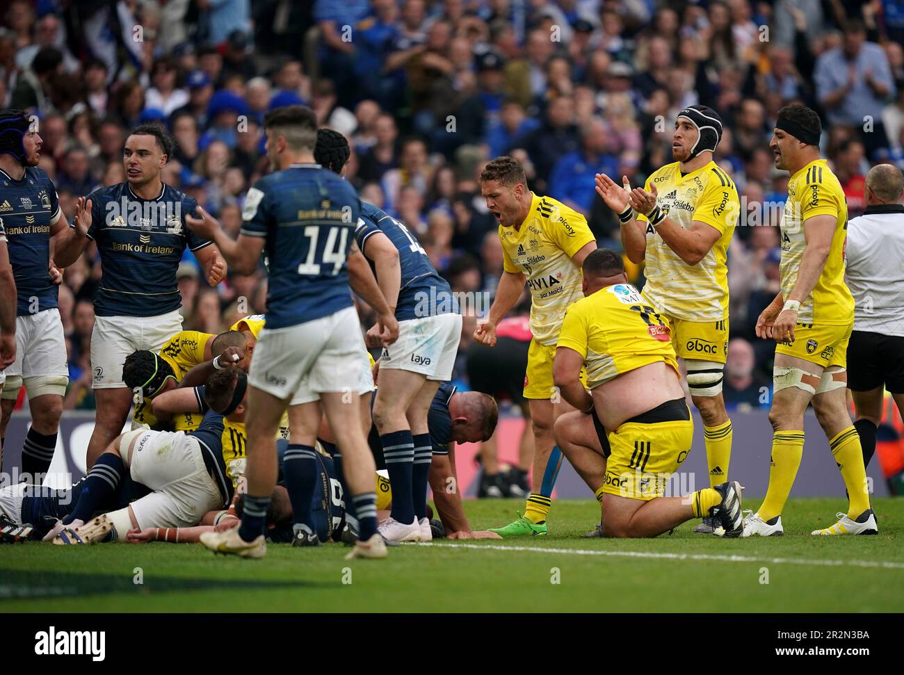 Les joueurs de la Rochelle fêtent après que Georges-Henri Colombe ...