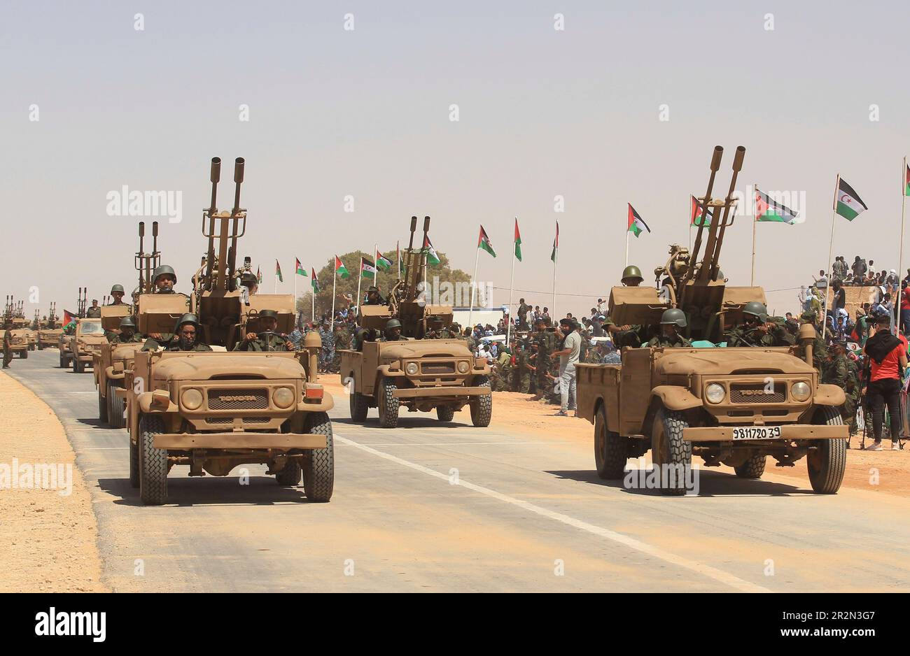 Polisario Front soldiers drive vehicles during a military parade to ...