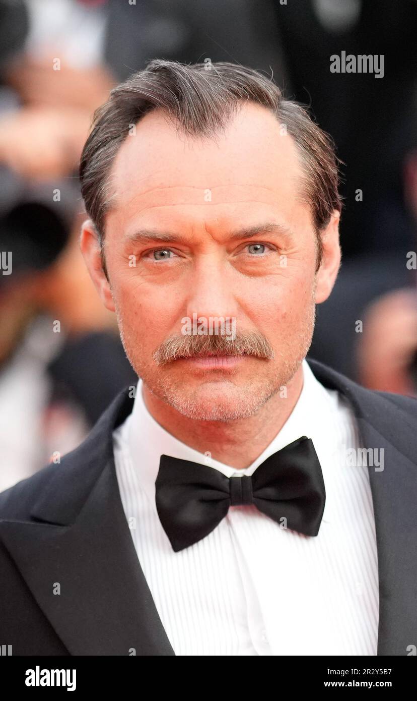 Cannes, Cannes, France. 21st mai 2023. L'acteur JUDE LAW participe à la projection et au tapis ...