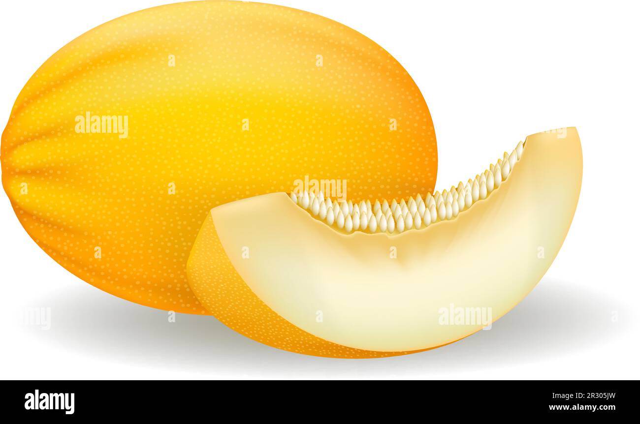 Melon d'or Banque de photographies et d’images à haute résolution - Alamy