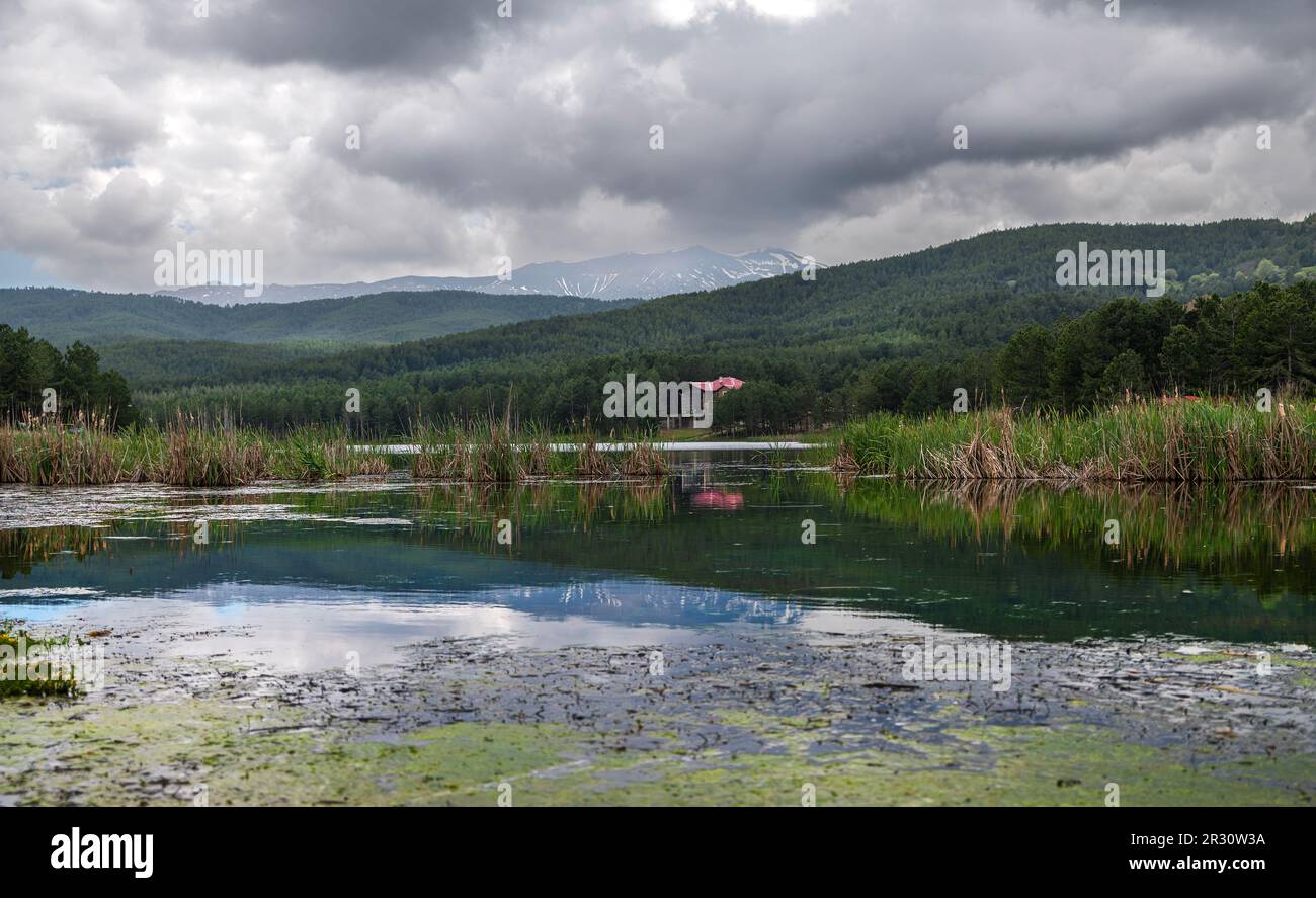 Le parc naturel d'Akdag possède des forêts luxuriantes, des sources d ...