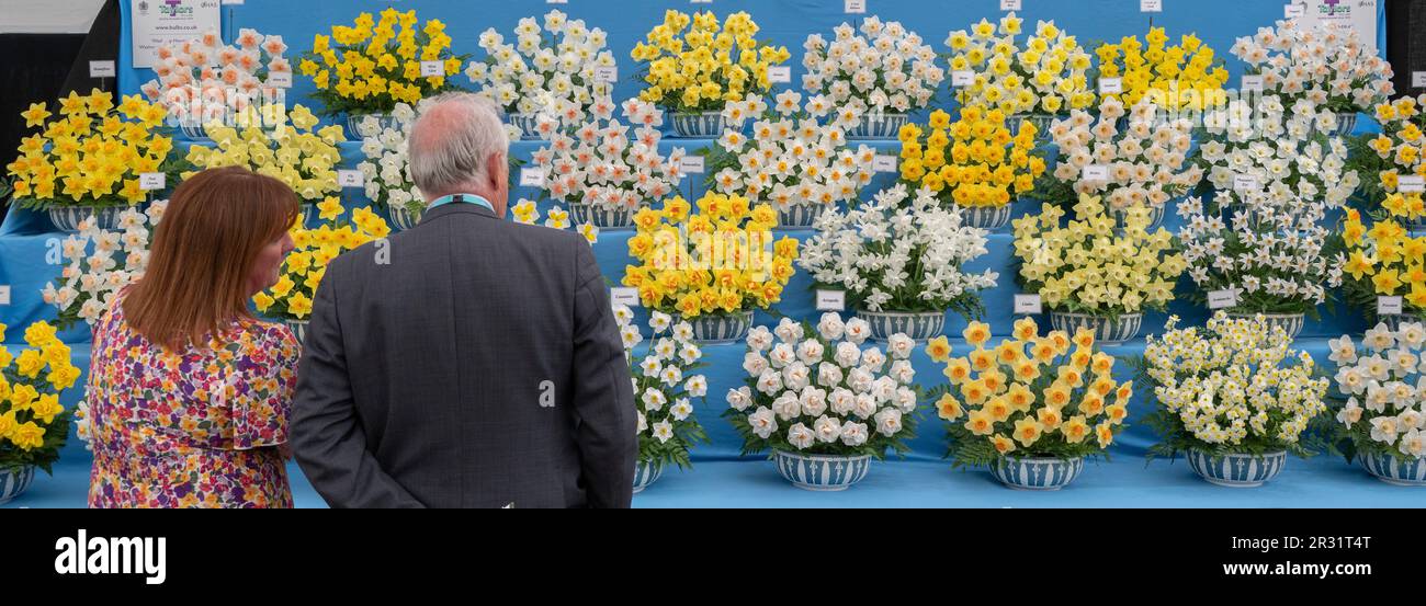 Le plus grand spectacle floral du monde Banque de photographies et d ...