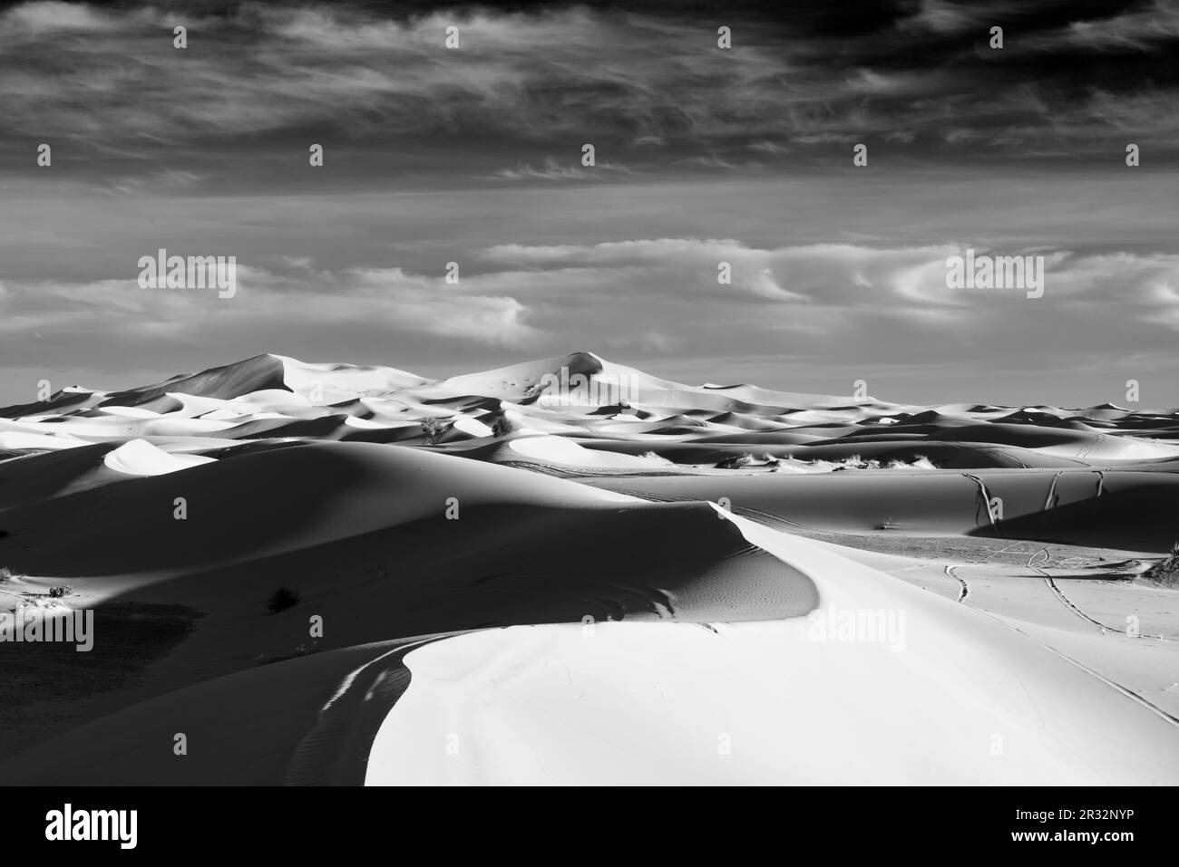 Desertmorocco sunset Banque d'images noir et blanc - Alamy