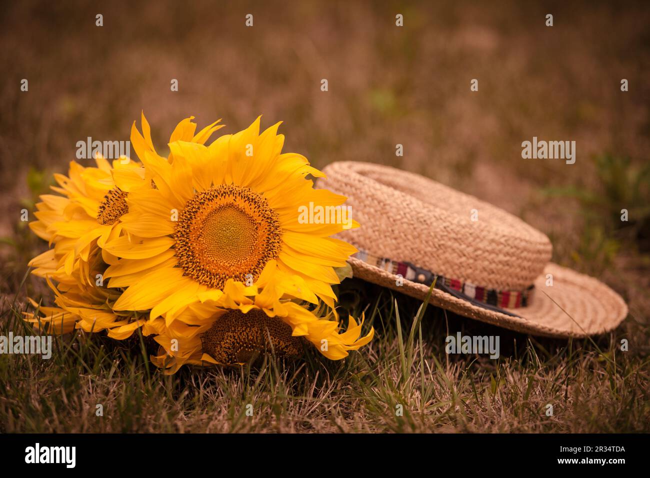 Pays chaud Banque de photographies et d’images à haute résolution - Alamy