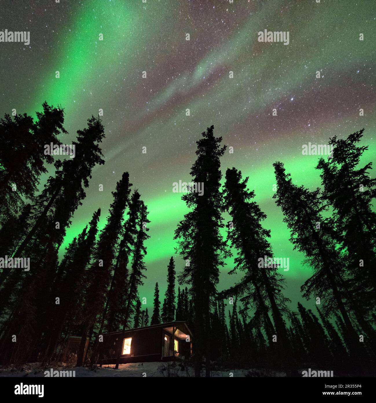 Des aurores boréales sont visibles dans le nord du Canada, territoire ...