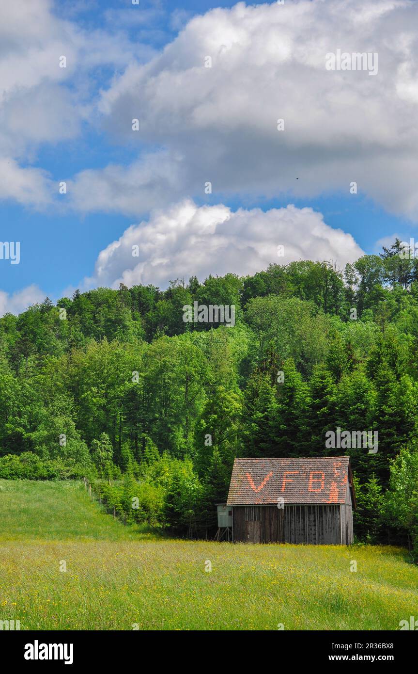 Toit caché Banque de photographies et d’images à haute résolution - Alamy