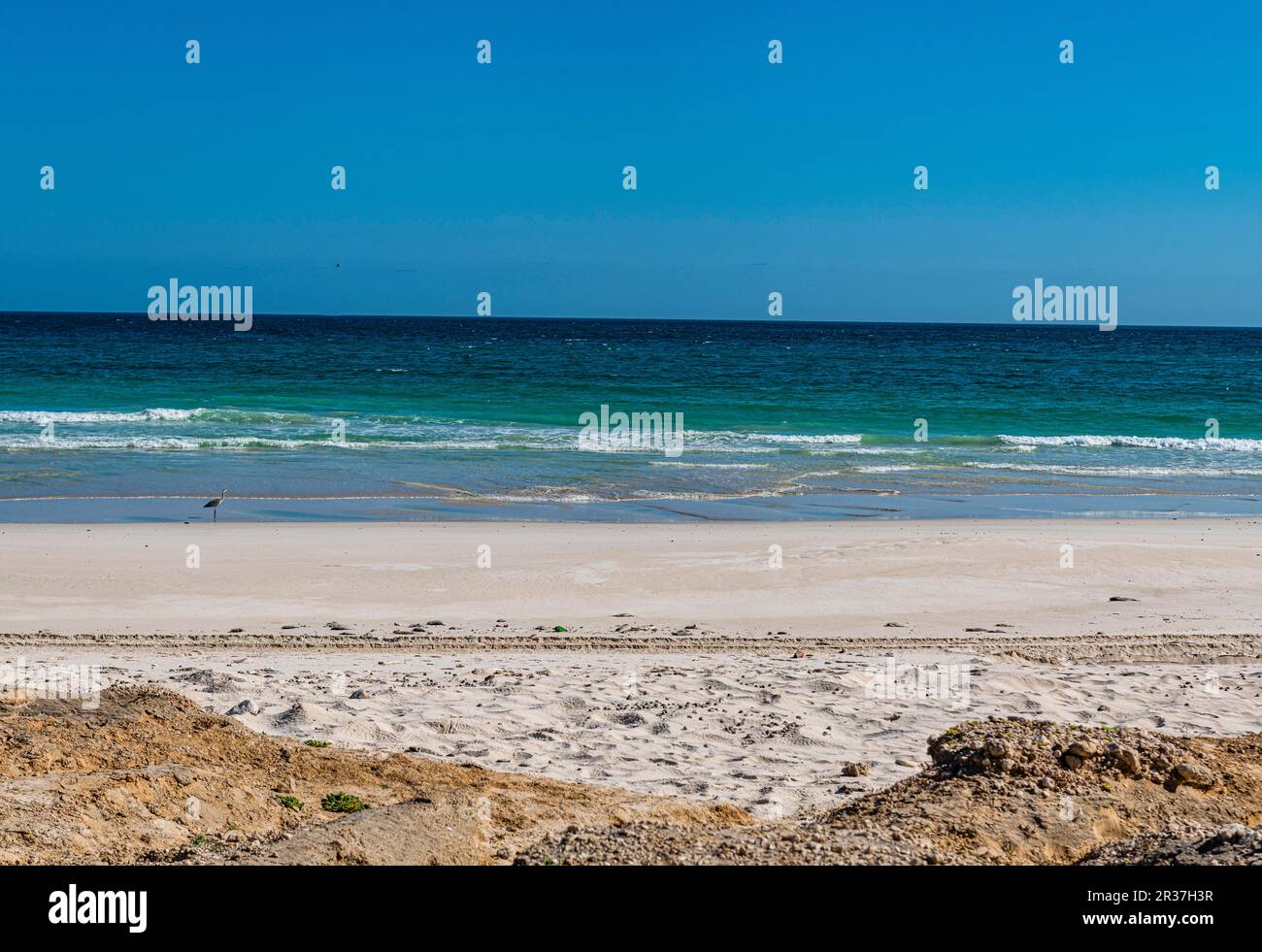 Plage omani Banque de photographies et d’images à haute résolution - Alamy